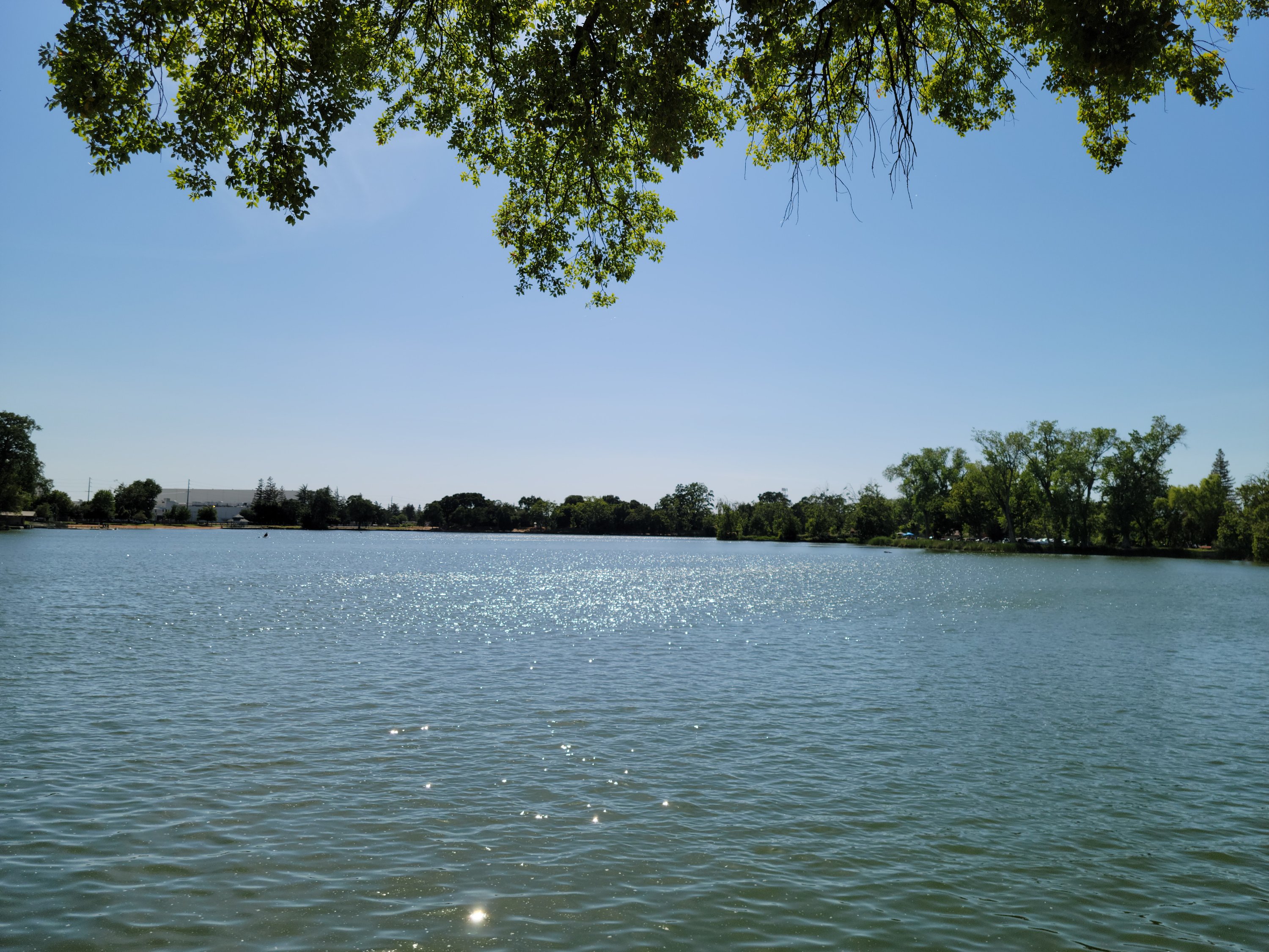 A walk ends badly… | Horatio and Emily